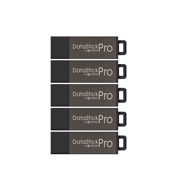 DataStick Pro USB 2.0 Flash Drive, 2GB, Type A | Centon – Centon ...