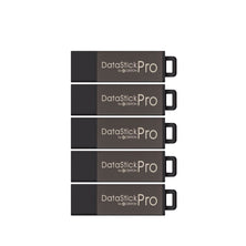 DataStick Pro USB 2.0 Flash Drive, 2GB, Type A | Centon – Centon ...